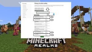 Could not invite the provided name or invites missing in Minecraft