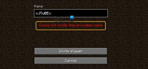 Could not invite the provided name or invites missing in Minecraft