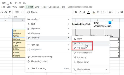 How to put Diagonal Line through Cell in Excel or Google Sheets