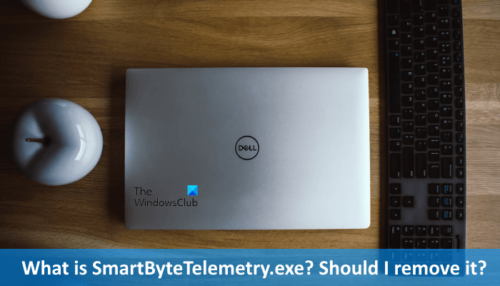 What is SmartByteTelemetry.exe? Should I remove it?
