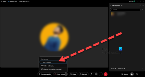 Webex camera not working on Windows PC