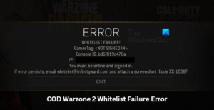 Fix COD Warzone WHITELIST FAILURE error