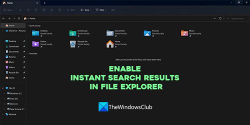 How to enable Instant Search Results in File Explorer