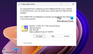 Error 0x80072745, An established connection was aborted