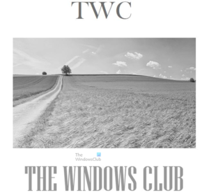 How to convert InDesign document to grayscale