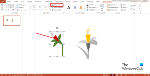 How to change Color of part of a picture in PowerPoint
