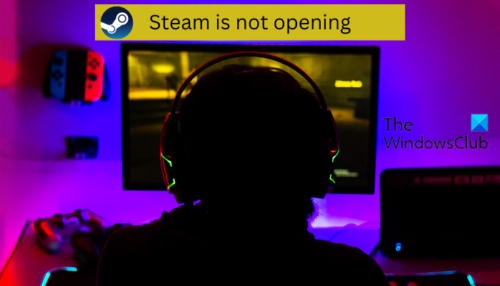 Steam is not opening on Windows 11 [Fix]