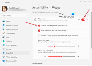 Fix ALT Codes not working in Windows 11