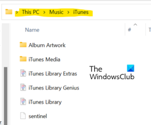 How to reset iTunes Library on Windows 11/10?