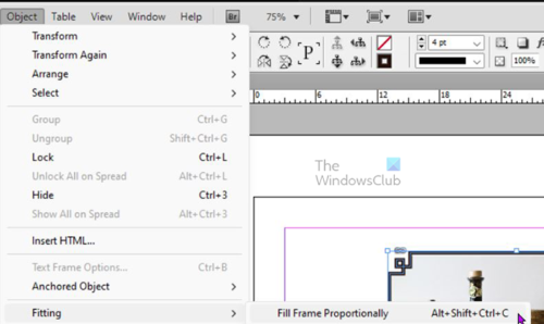 How to place Image in Frame in InDesign