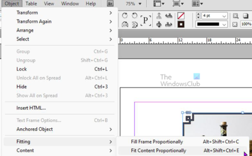 How to place Image in Frame in InDesign