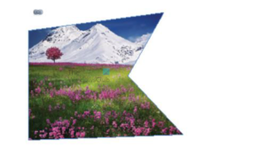 How to place Image in Frame in InDesign