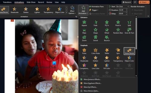 How to fit a large Picture into a PowerPoint slide