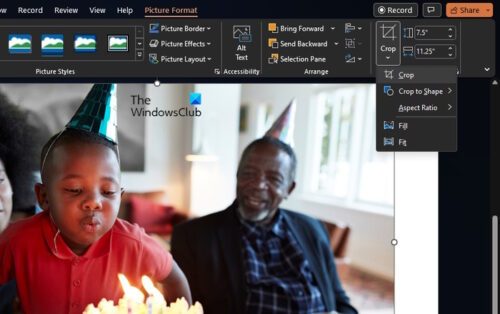 How to fit a large Picture into a PowerPoint slide
