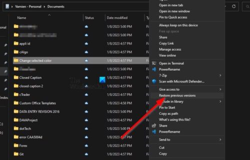 Recover Deleted Files or Folders from Network drive in Windows
