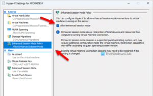 Hyper-V Mouse input not captured in Windows 11/10