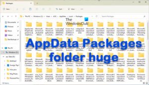 AppData Packages folder huge; How to clean AppData folder in Windows?