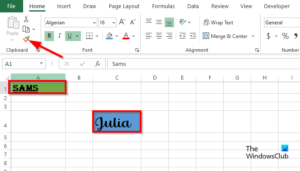 How to use Format Painter in Word, Excel, PowerPoint