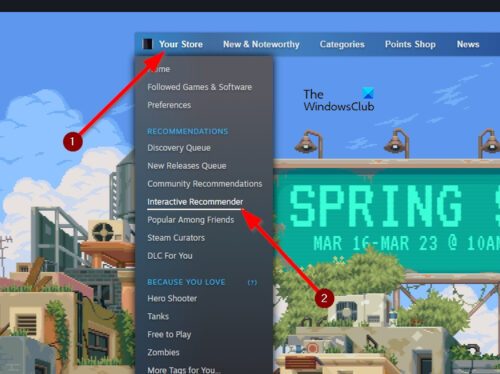 How to use Steam Interactive Recommender
