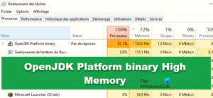 OpenJDK Platform Binary High Memory usage on Windows PC