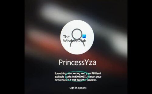 Fix Your PIN is not available, Code 0xd0000225 error on Windows