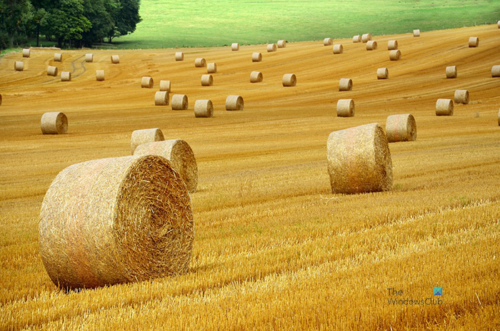 How to use Content-Aware Crop and Fill in Photoshop