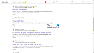 What is Search Google or type a URL?