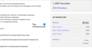 What is Tiny11? Is it safe to install?