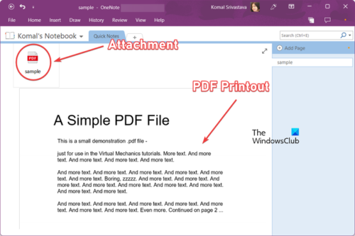 How to import PDF to OneNote in Windows 11/10?