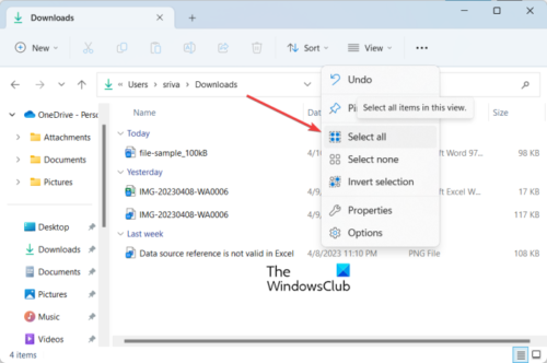 How to Select all using Shortcut in Windows 11?