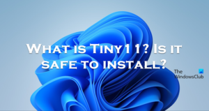 What is Tiny11? Is it safe to install?