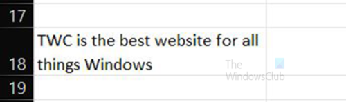 How to make Excel cells expand to fit Text automatically