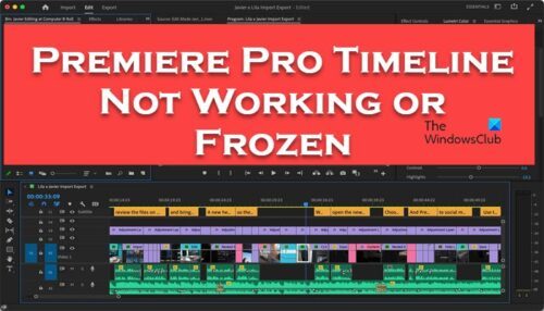 Premiere Pro Timeline not working or frozen [Fix]