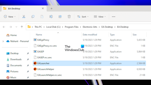 Fix The Sims 4 is already running error