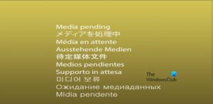 Premiere Pro says Media Pending then Crashes or Stops rendering