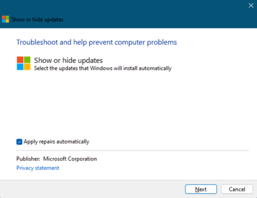 Realtek Semiconductor Corp Extension Install error on Windows