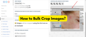 How to Bulk Crop Images in Windows 11/10?