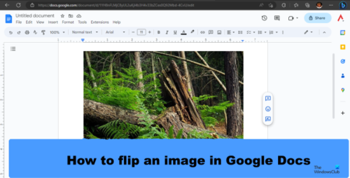 How to flip an Image in Google Docs