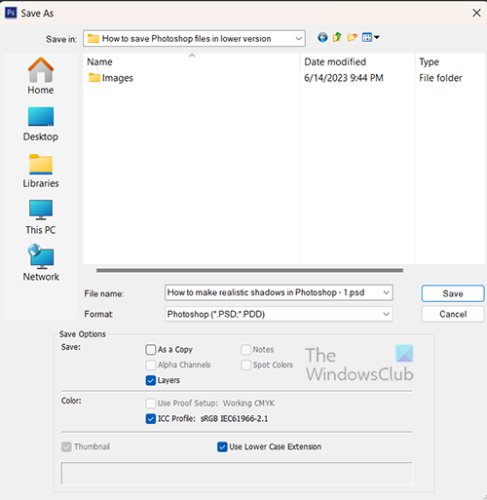 How to save Photoshop files in lower version