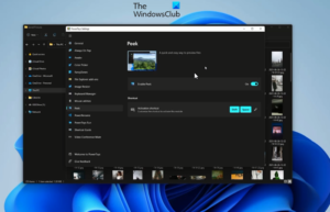 CTRL+Space not working in Excel or Word in Windows 11/10