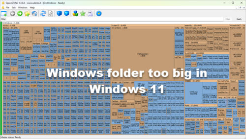Windows folder too big in Windows 11/10