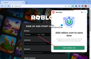 How to block Roblox on Windows 11/10?