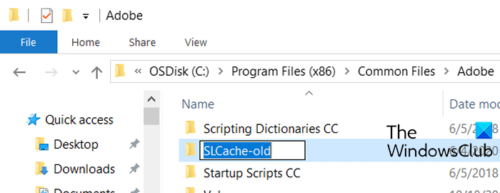Lightroom doesn't launch; Closes automatically after Splash screen