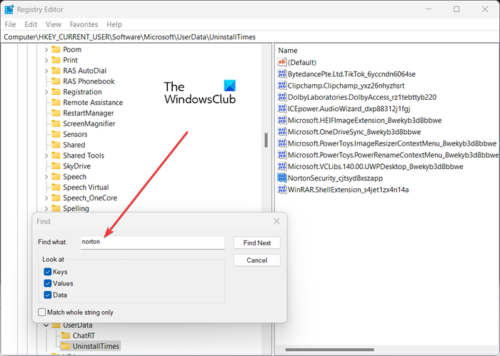 How to remove Norton Download Manager?