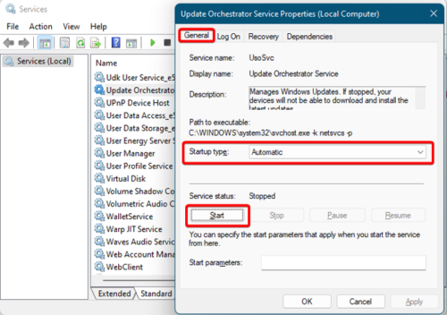 Microsoft Store stuck on Loading screen forever