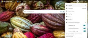 How to play Bing Homepage Quiz and win?