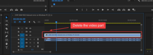 How to remove Audio or Video in Premiere Pro