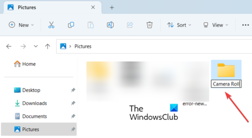 Fix 0xA00F425C Camera error in Windows 11/10