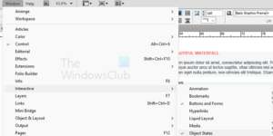 How to create Interactive Video Slides in InDesign