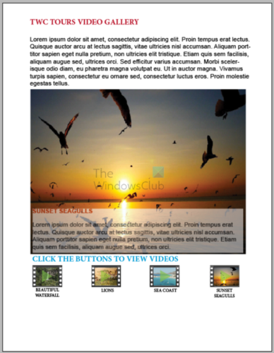 How to create interactive PDF in InDesign